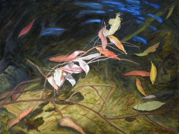 Winners from Elegant Chaos: A Celebration of Still Life - Royal QLD Art ...